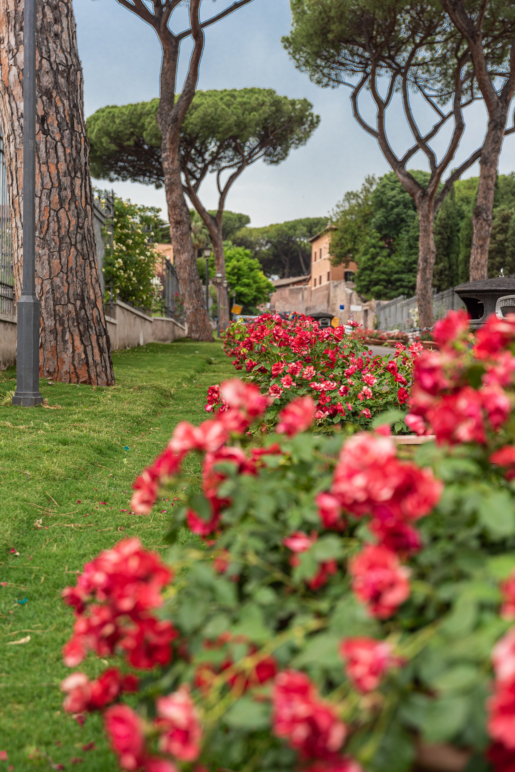 The Rose Garden In Rome, Italy Is Overflowing With Romance